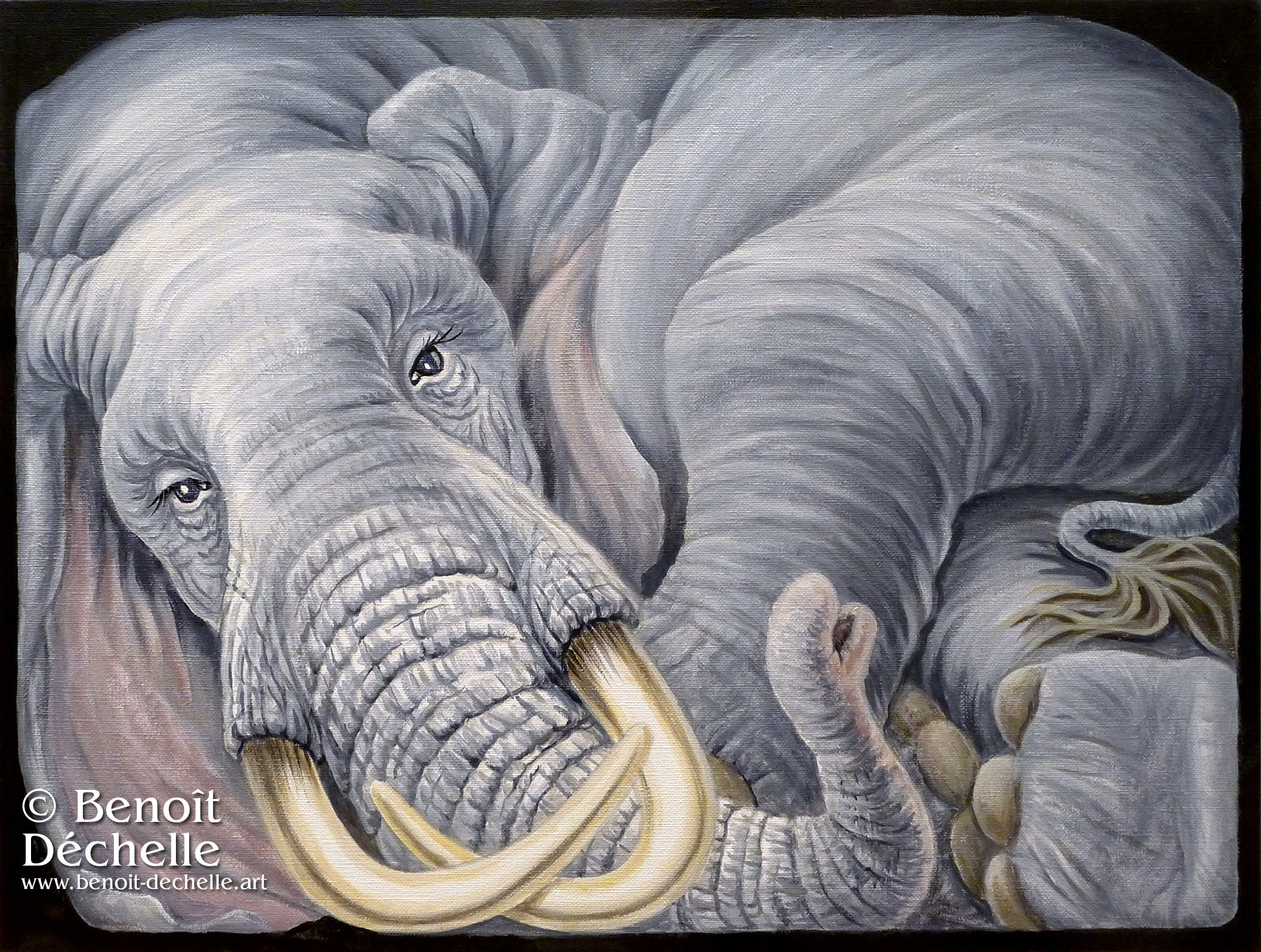 Invité d'honneur à l'Exposition de la SLAO près d'Orléans (45) - Benoît ...